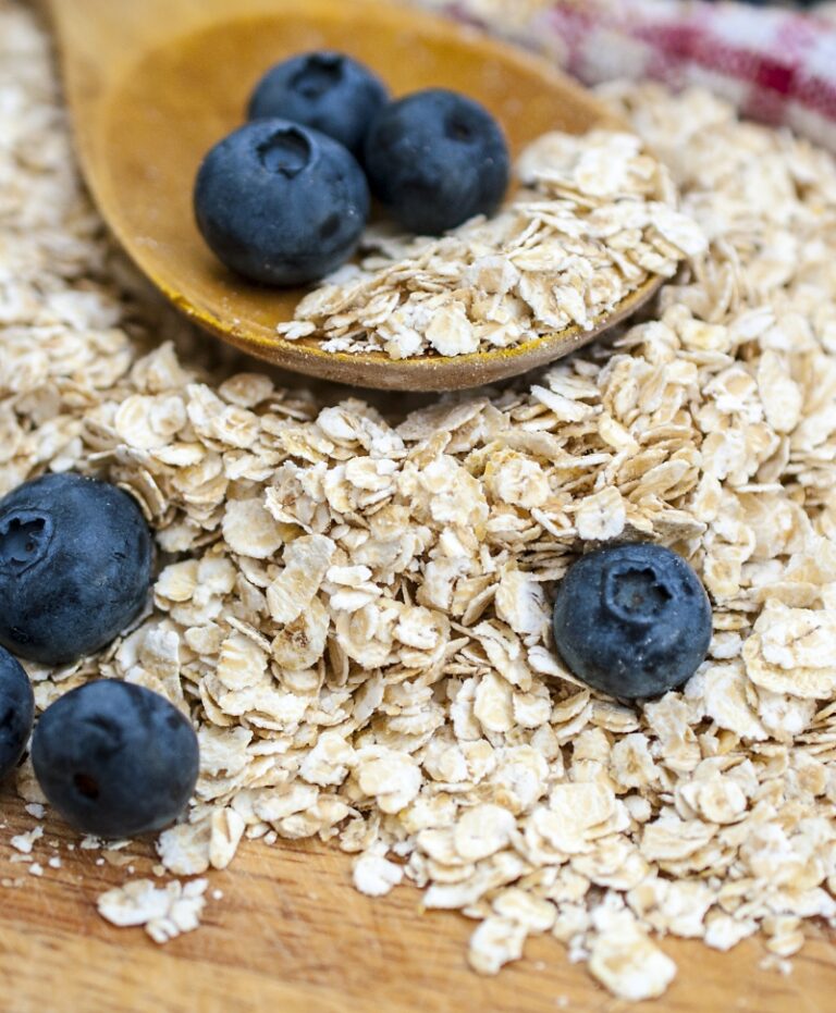Blueberry Oat Bites Recipe - Dr. Renee Korczak, Ph.D., RDN